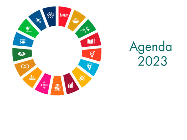 Assessing our progress towards a sustainable future: eight years on ...